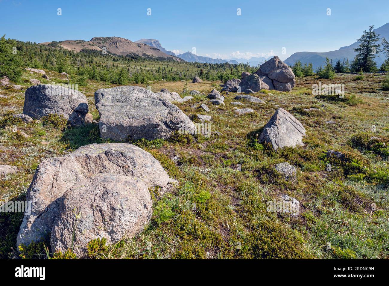 Large boulders in Sunshine Meadows in Banff National Park, Alberta ...