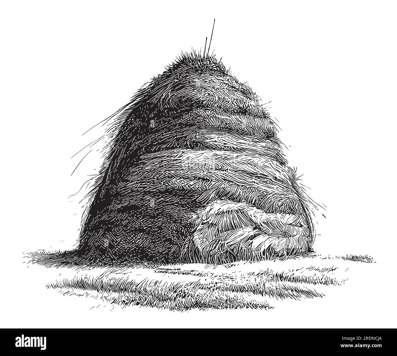Haystack on thr field hand drawn sketch in graphic illustration Stock ...