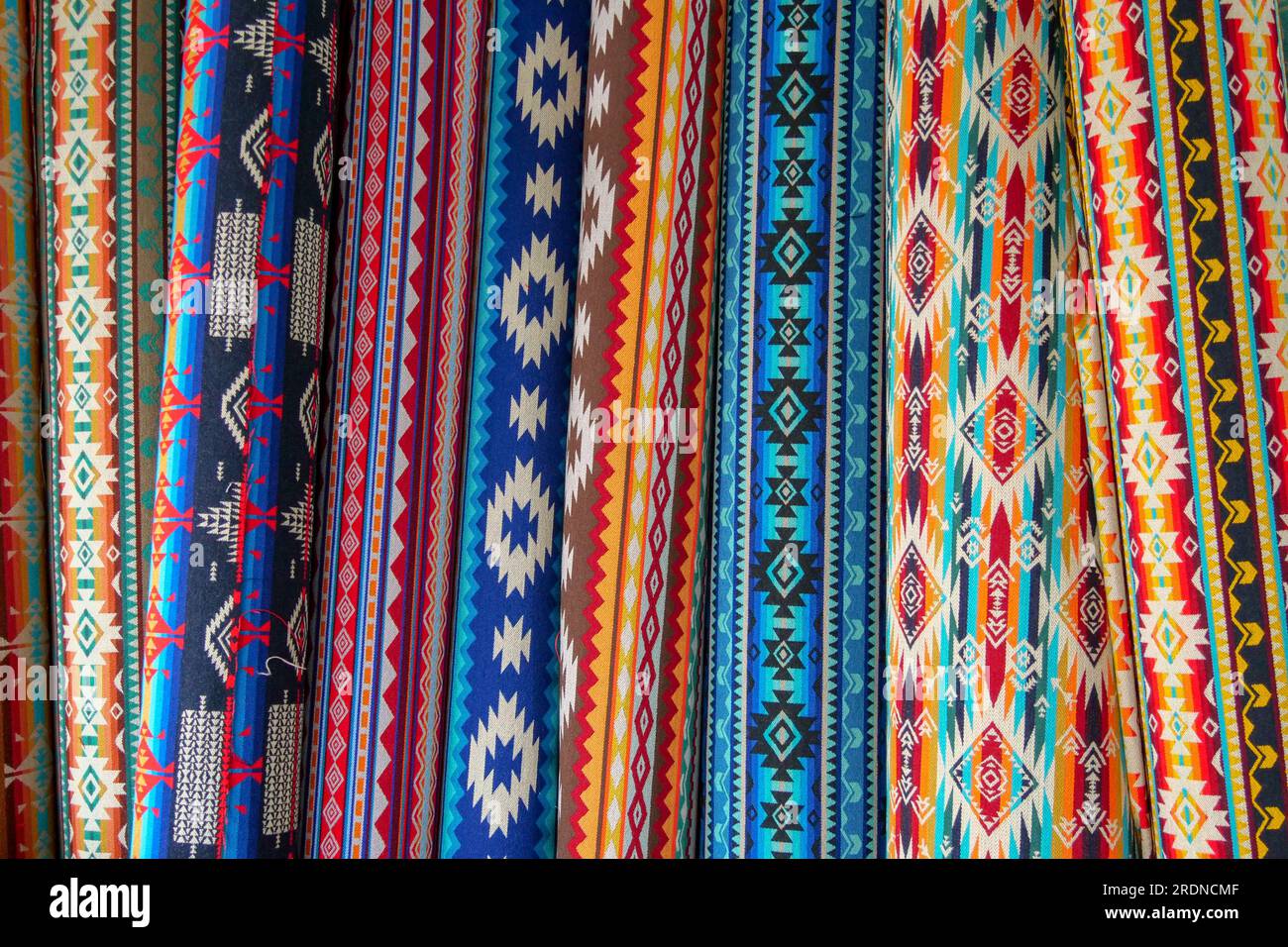 Touching Spirit Bear At Oow