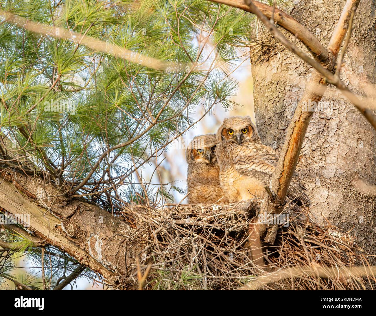 Rapp barrens hi-res stock photography and images - Alamy