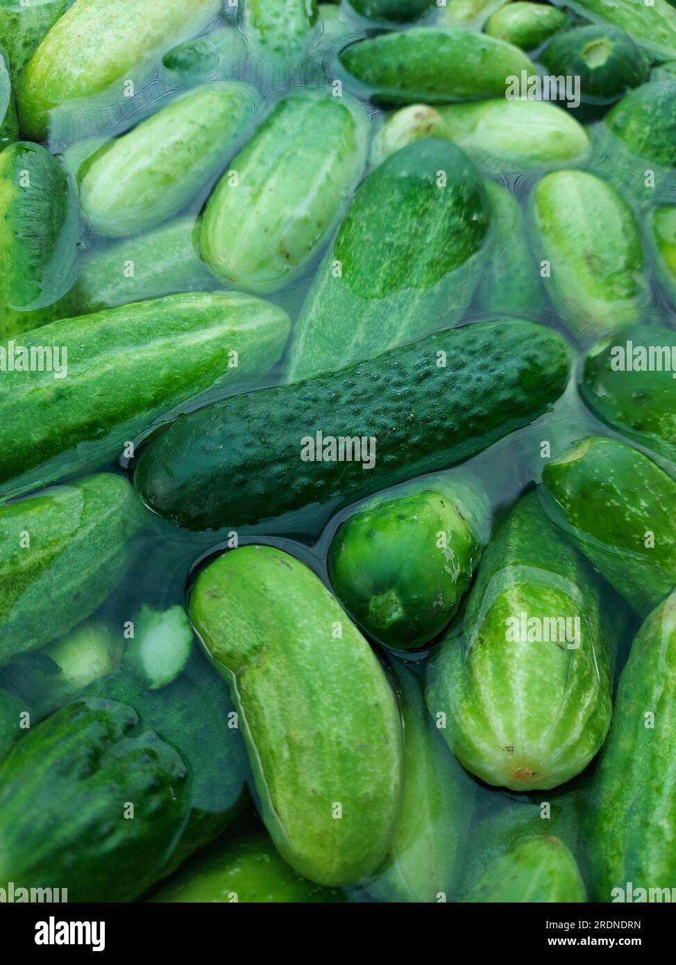 Pickling poster hi-res stock photography and images - Alamy