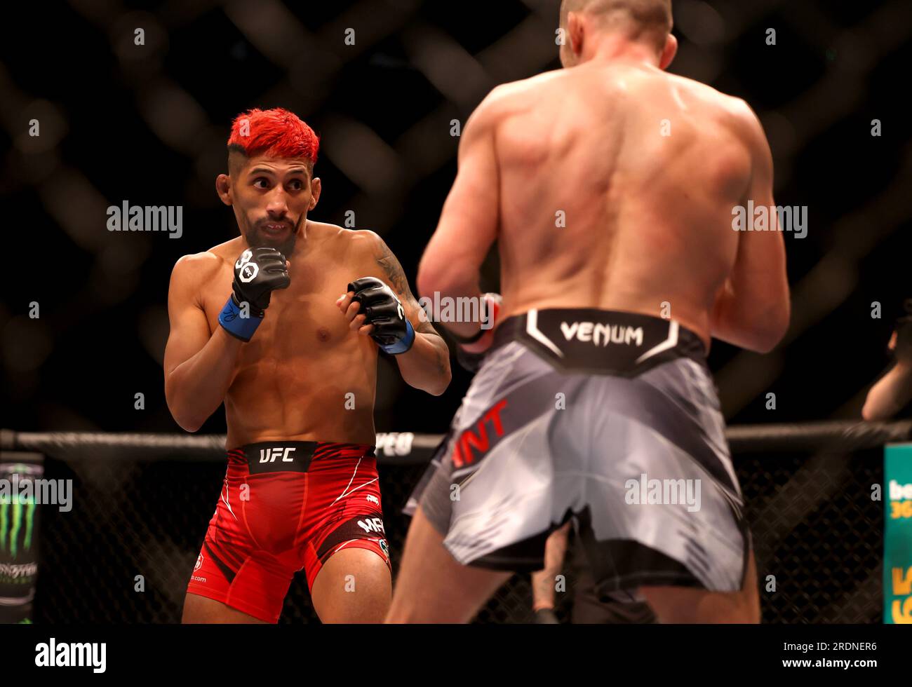 Daniel Marcos (left) and Davey Grant in action during their ...