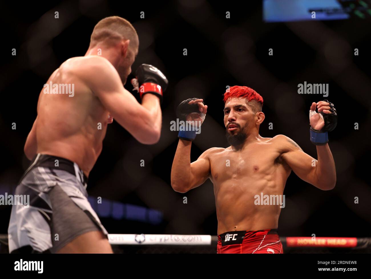 Daniel Marcos (right) and Davey Grant in action during their ...