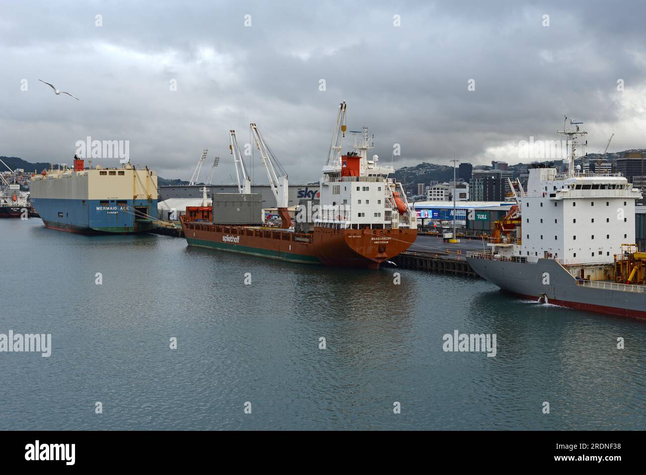 WELLINGTON, NEW ZEALAND, MAY 19, 2023:The container ship TS Qingdao ...