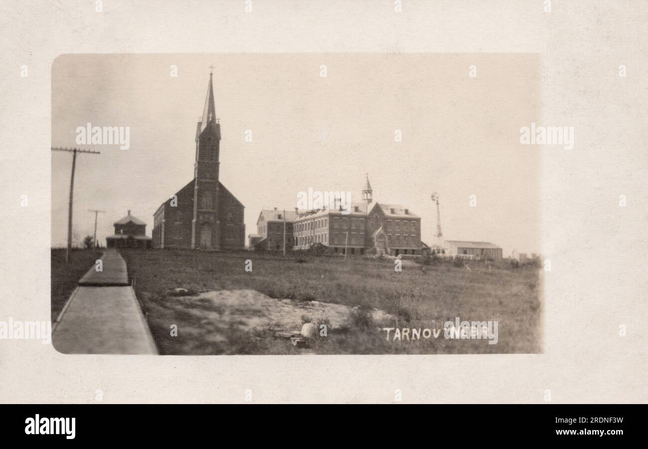 Tarnov hi-res stock photography and images - Alamy