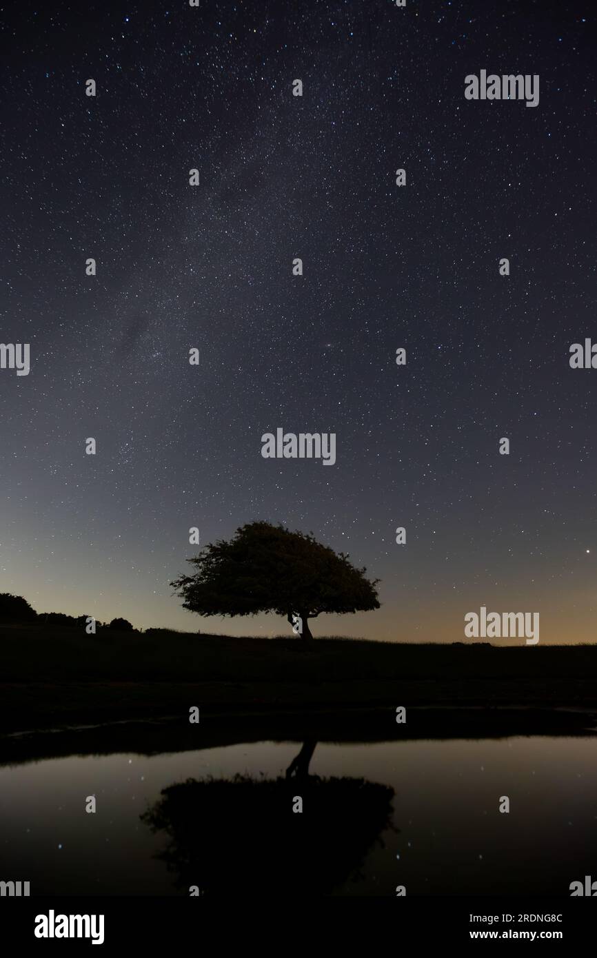 Tree Reflecting in Pond at Night with Stars, Brighton UK - Scott Mains ...