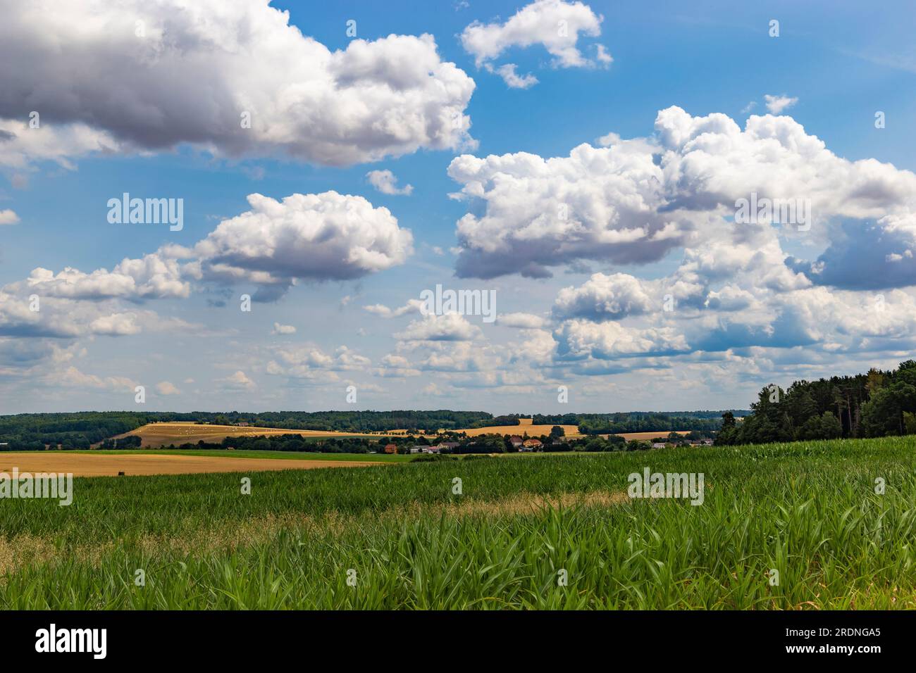 Summer landscape with fields and forests in the Czech Republic Stock ...