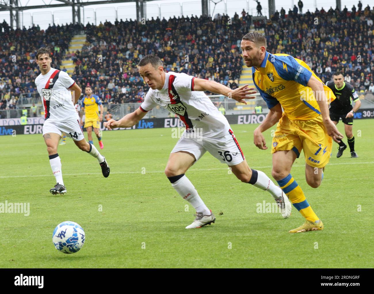 Marcus Rohdén in action Stock Photo - Alamy