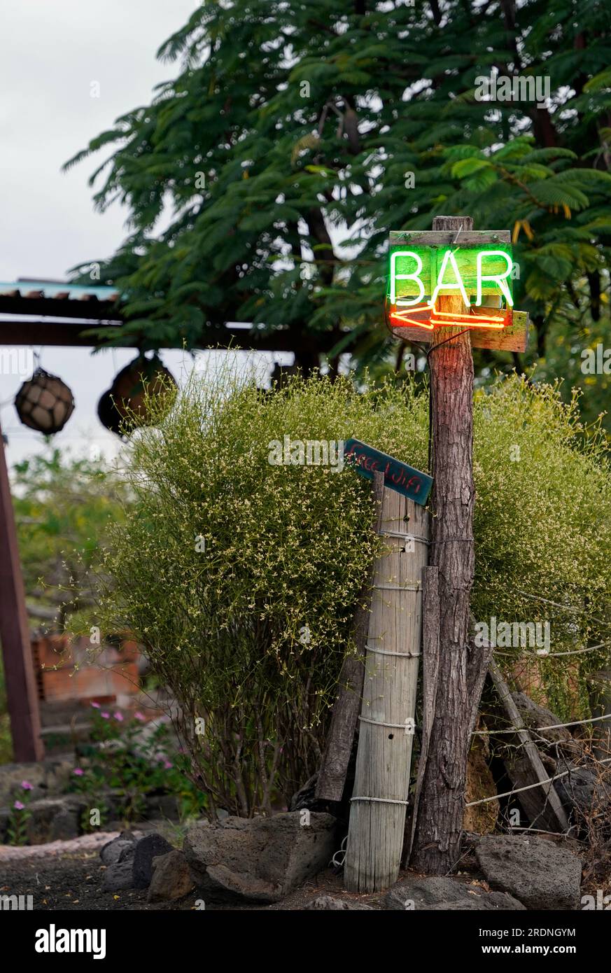 Neon bar sign outdoors, trees and plants in the background. Floreana ...