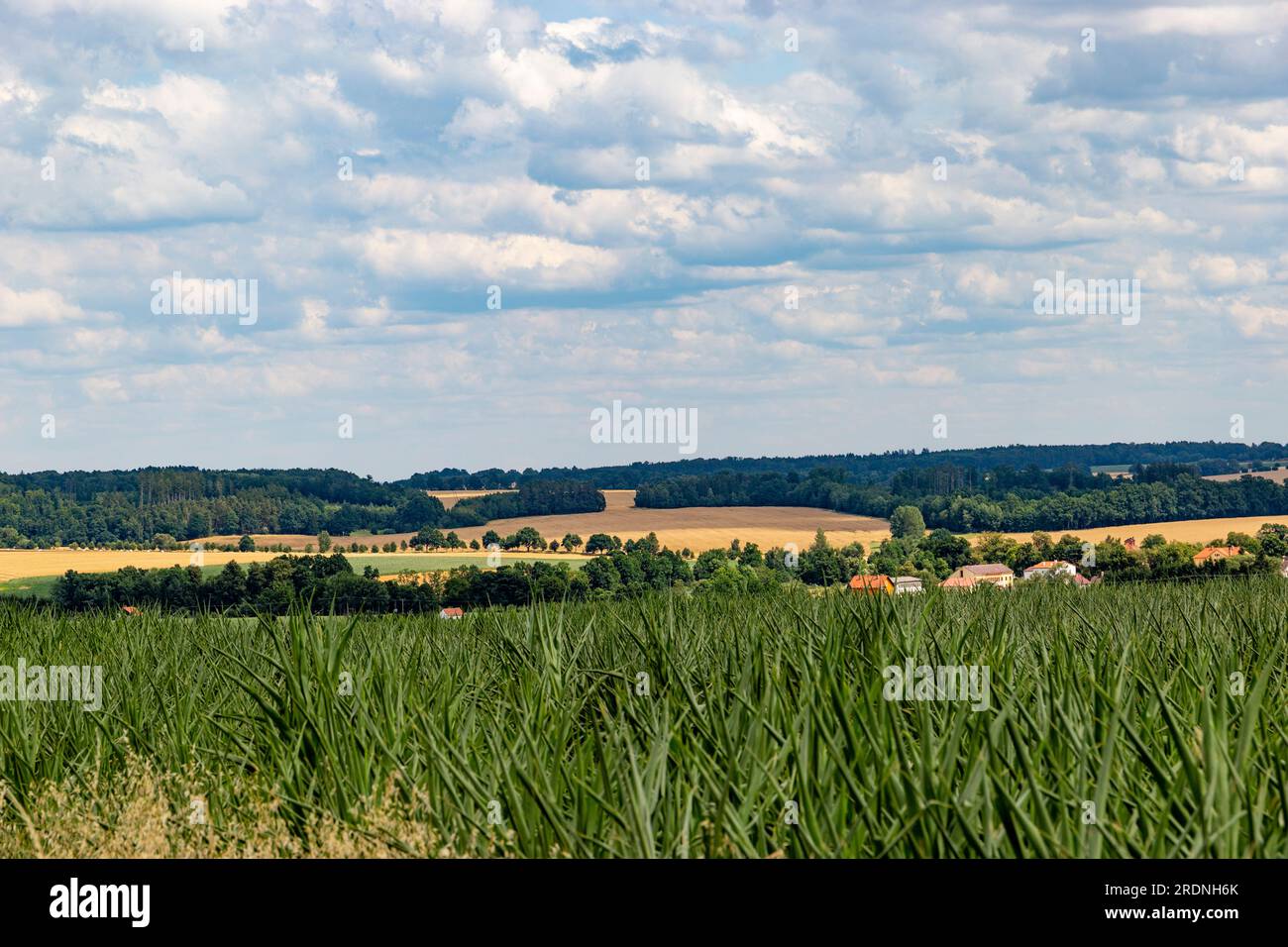 Summer landscape with fields and forests in the Czech Republic Stock ...