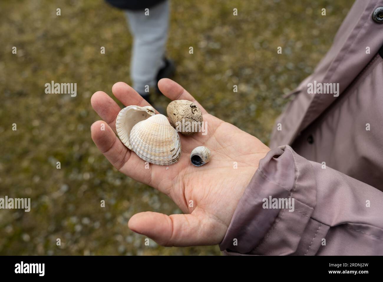 Empty handful hi-res stock photography and images - Alamy