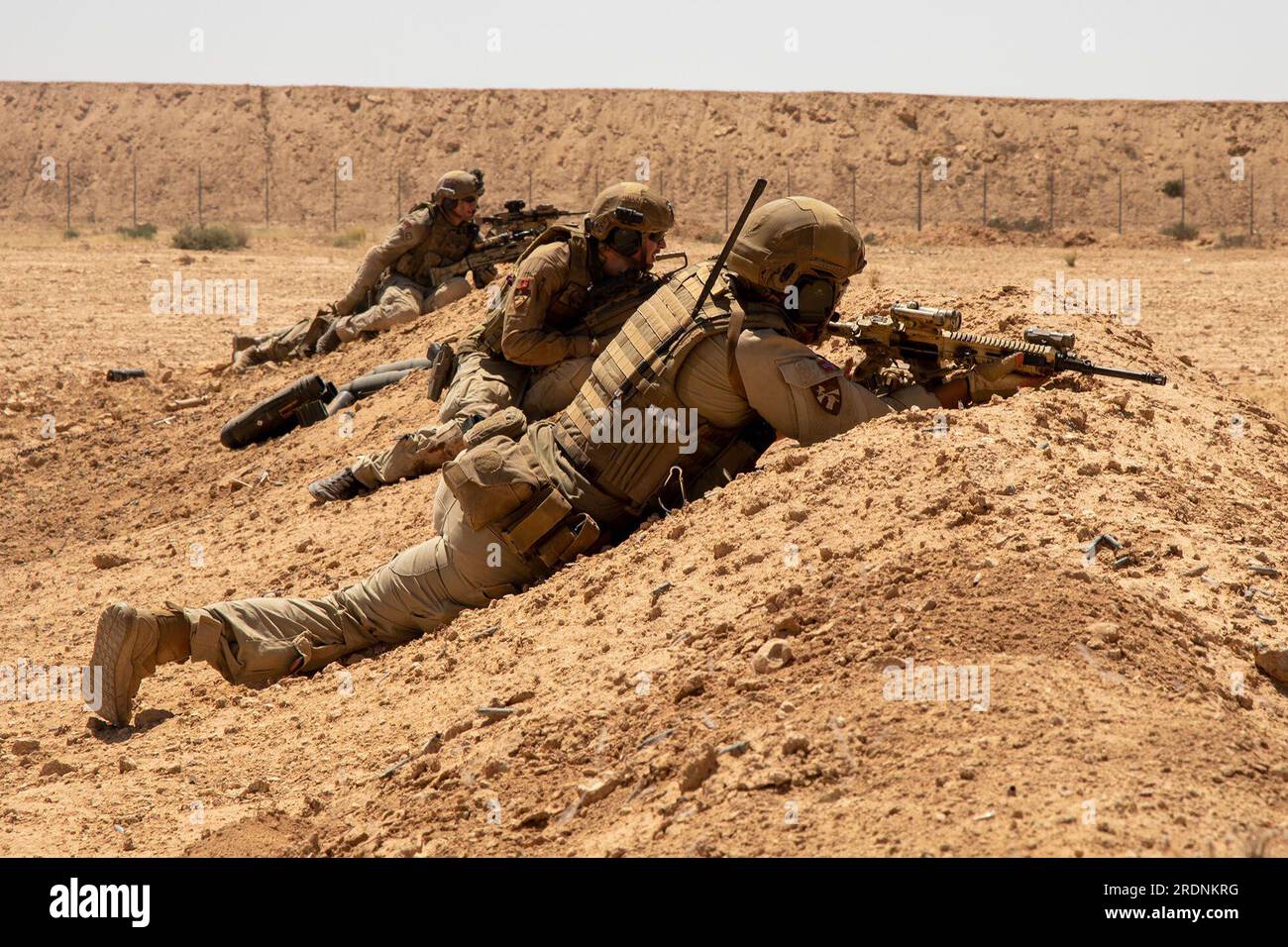 Norwegian soldiers, assigned to the Telemark Mechanized Infantry ...