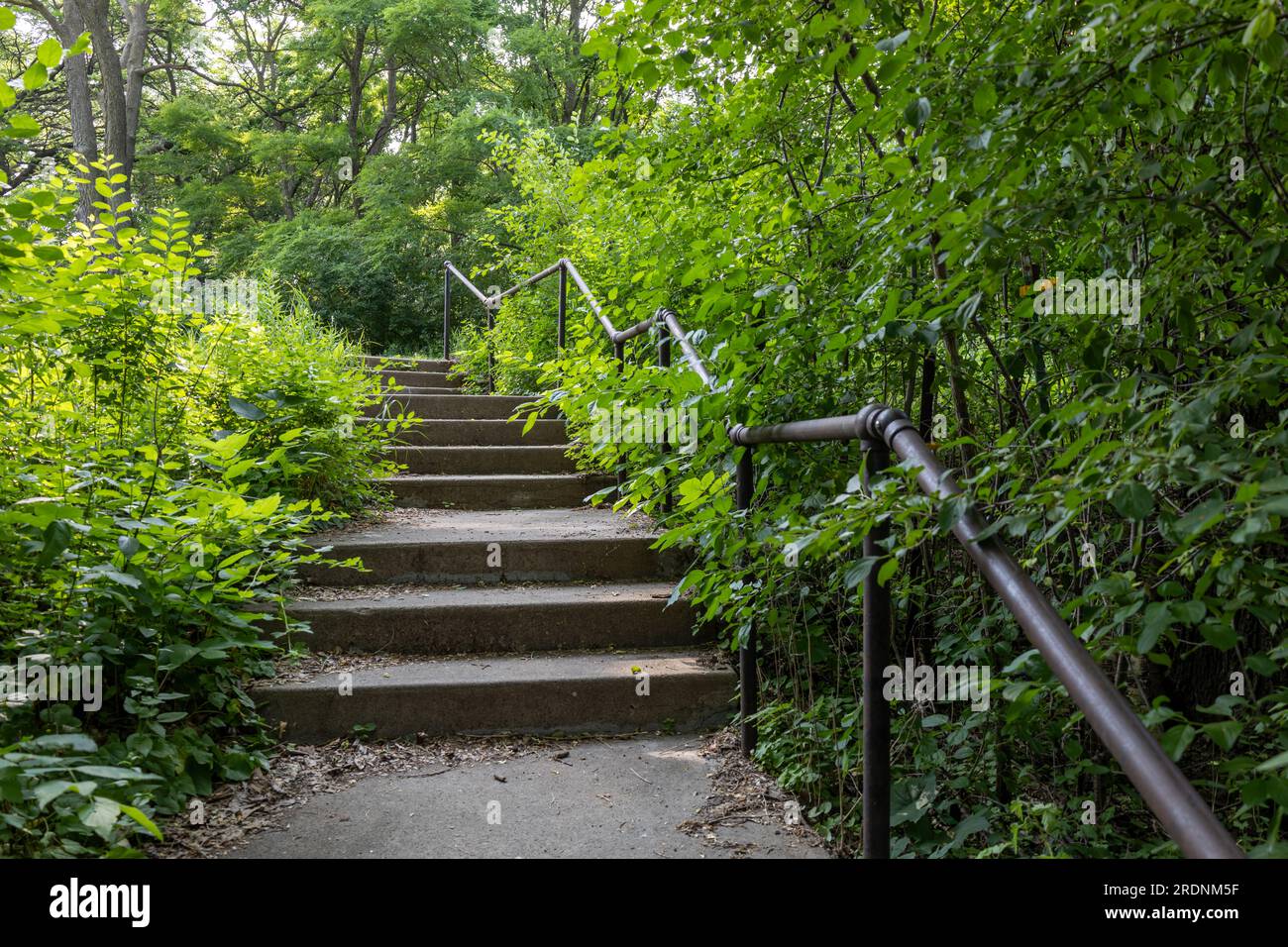 Staircase in natural setting hi-res stock photography and images - Alamy