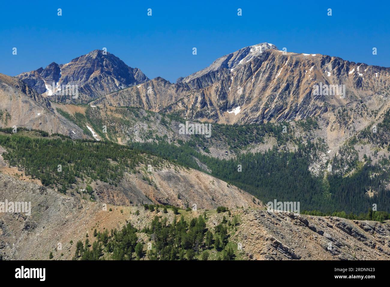 Anaconda pintler hi-res stock photography and images - Alamy