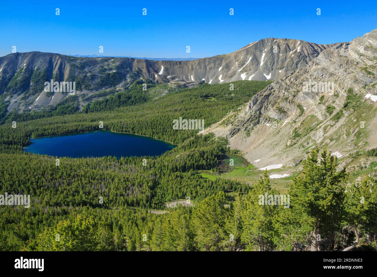 Anaconda pintler hi-res stock photography and images - Alamy