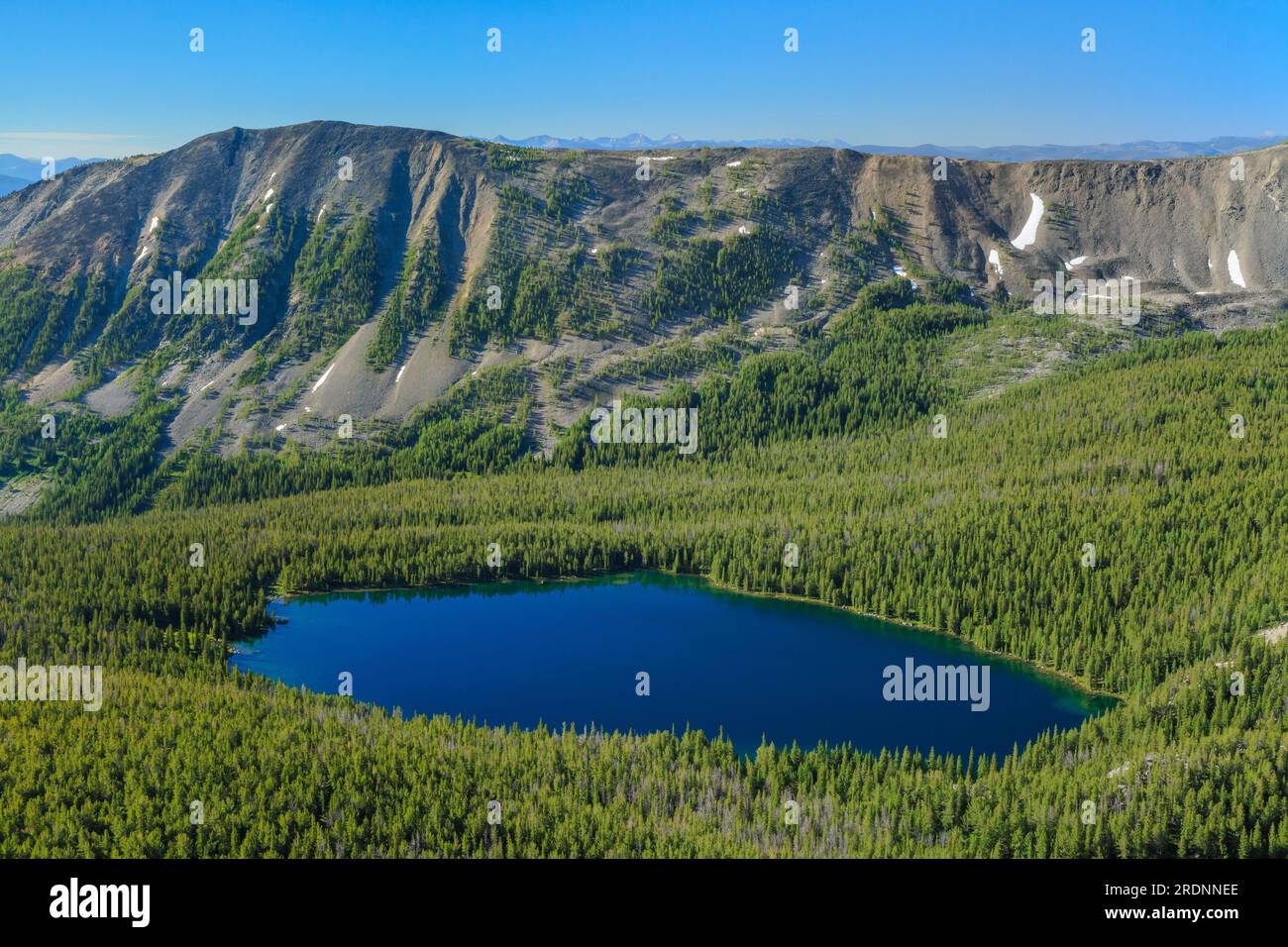 Anaconda pintler hi-res stock photography and images - Alamy