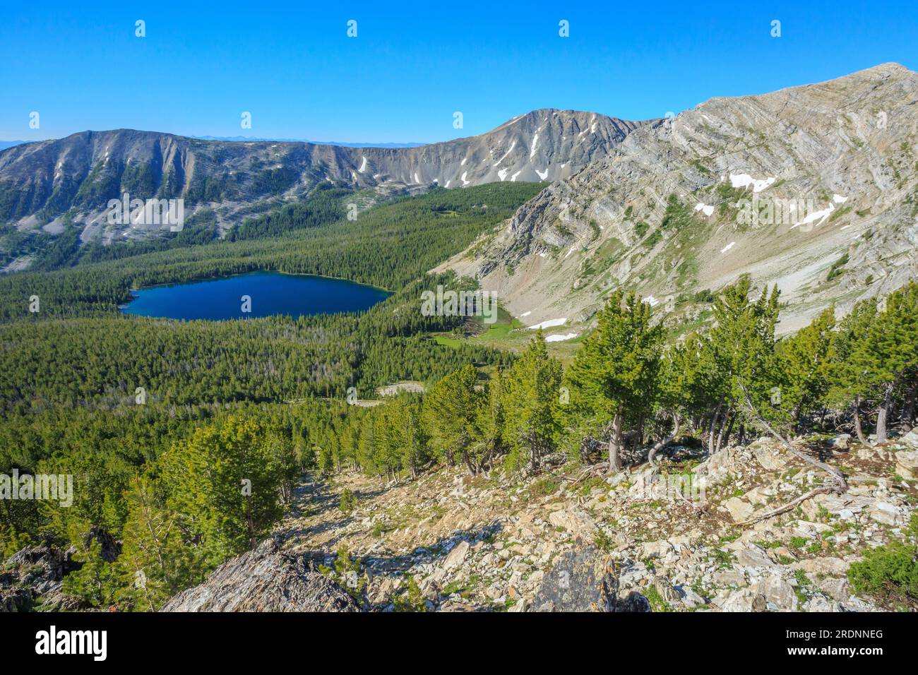 Anaconda pintler hi-res stock photography and images - Alamy