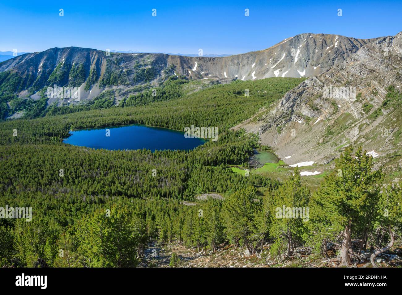 Anaconda pintler hi-res stock photography and images - Alamy