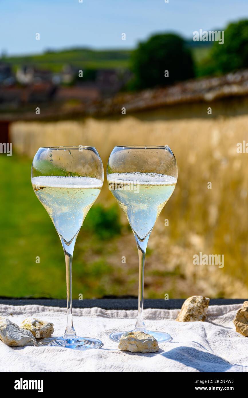 Tasting of grand cru sparkling white wine with bubbles champagne with ...