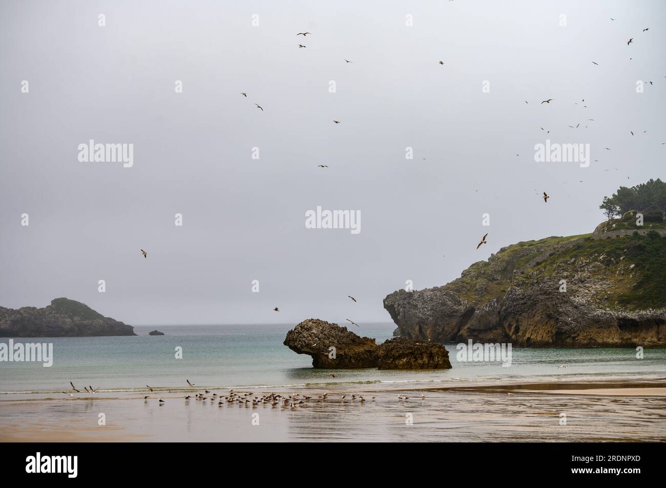 View on Playa de Palombina in Celorio village, Green coast of Asturias ...