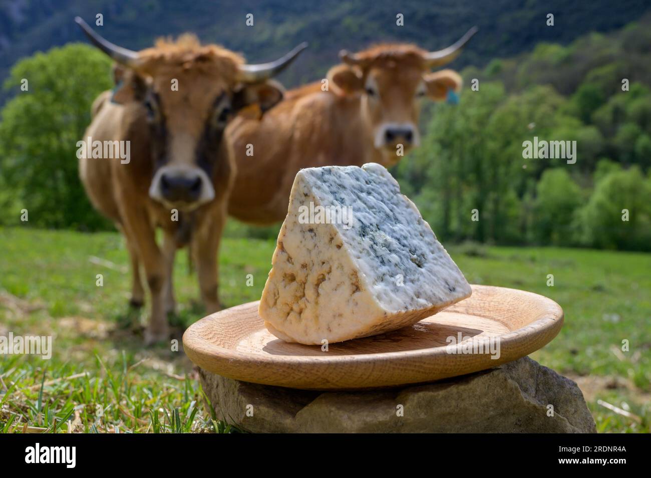 Picos bread hi-res stock photography and images - Alamy