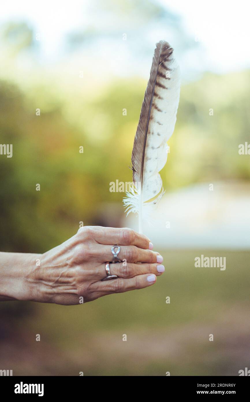 Close-up of female adult caucasian hand holding feather over nature ...