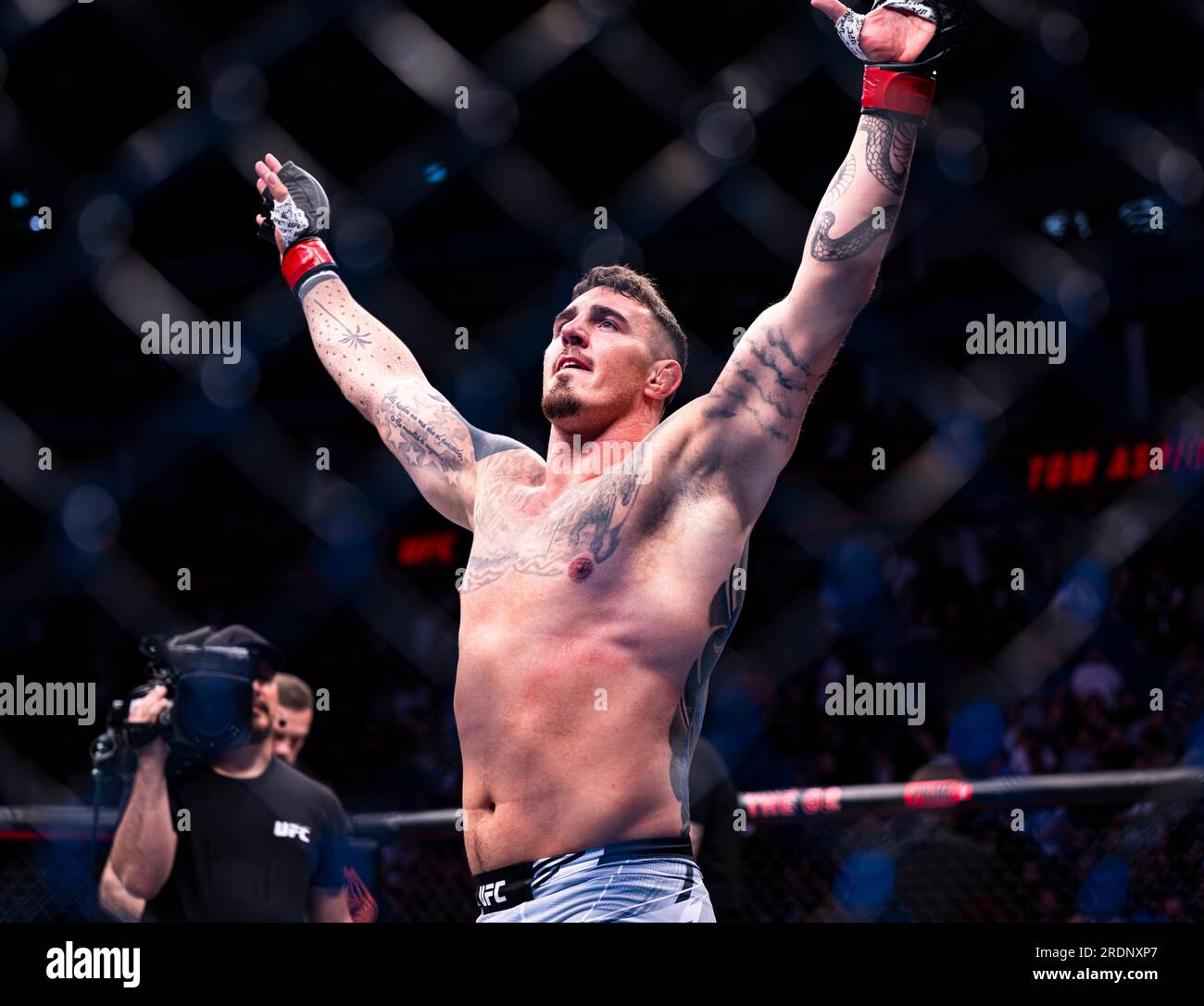 Winning the fight hi-res stock photography and images - Alamy