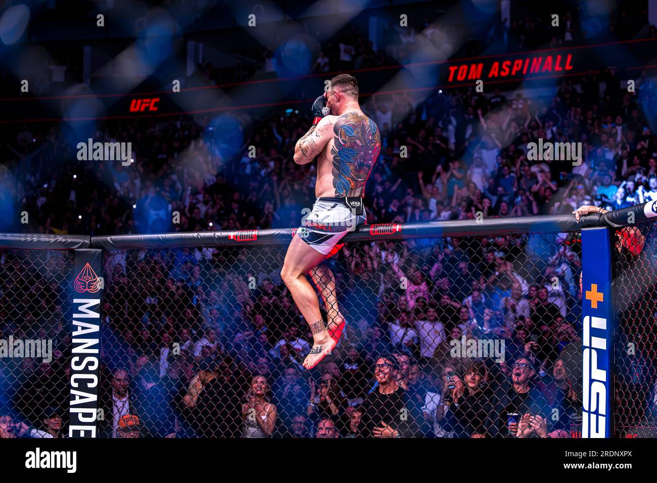 Winning the fight hi-res stock photography and images - Alamy