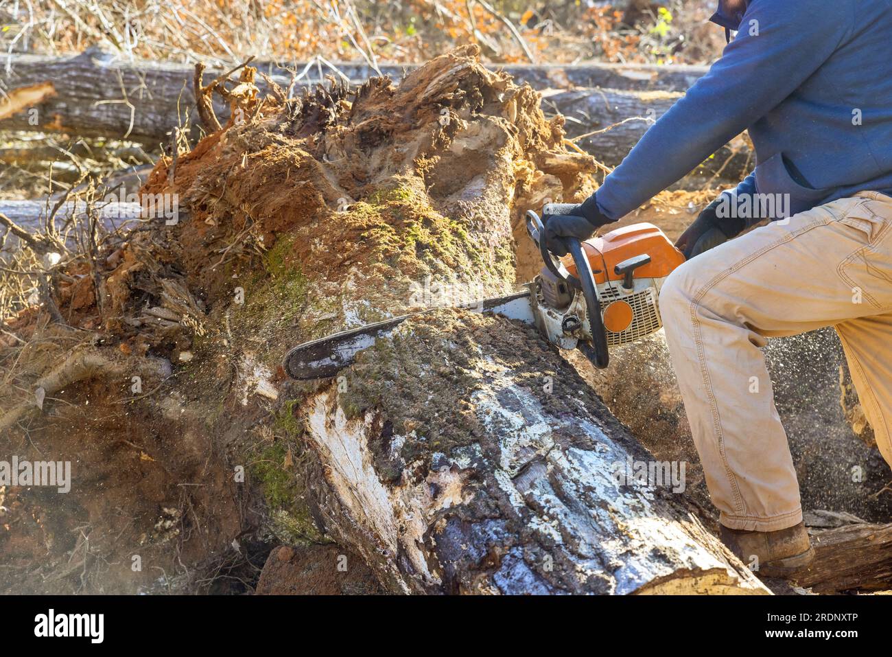 Dedicated municipal worker is clearing fallen trees in park after ...