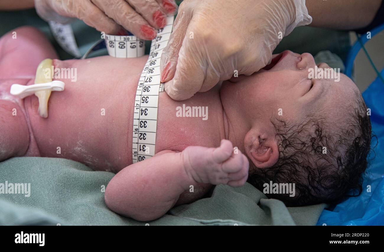 doctor performing measurement procedure on newborn Stock Photo - Alamy