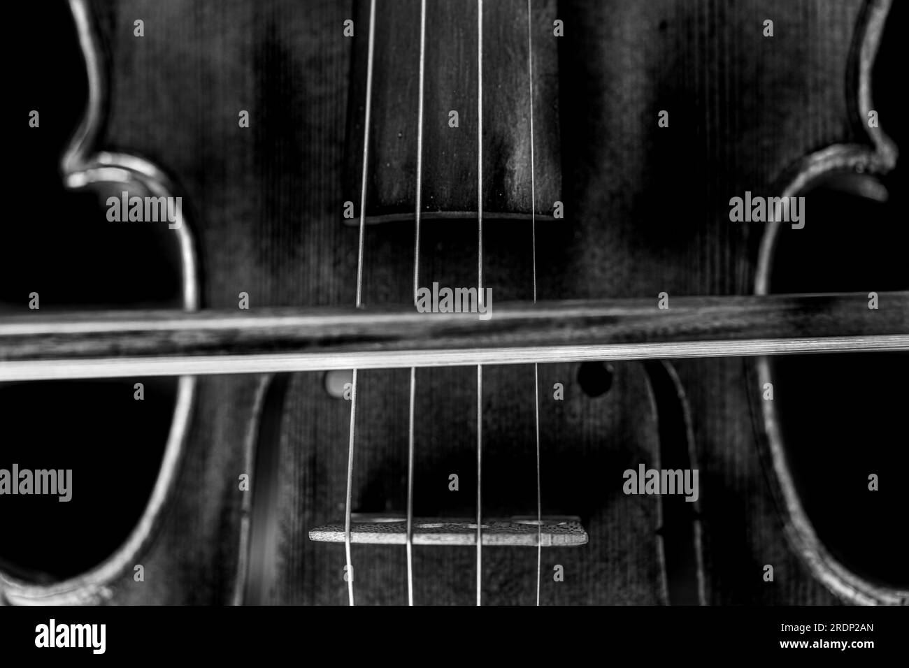 Violin Bow Black And White