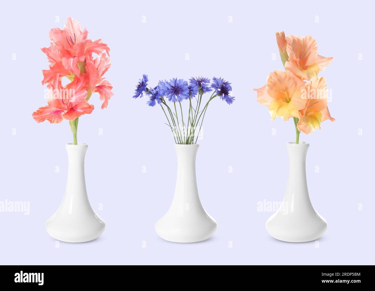 Collage of stylish vase with different bouquets on light grey ...