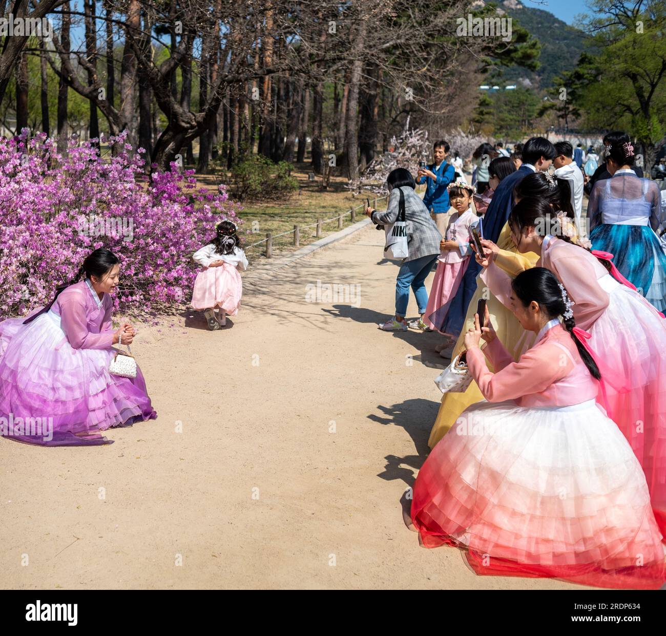 Pretty Korean girls wearing traditional Hanbok dress in Seoul South ...