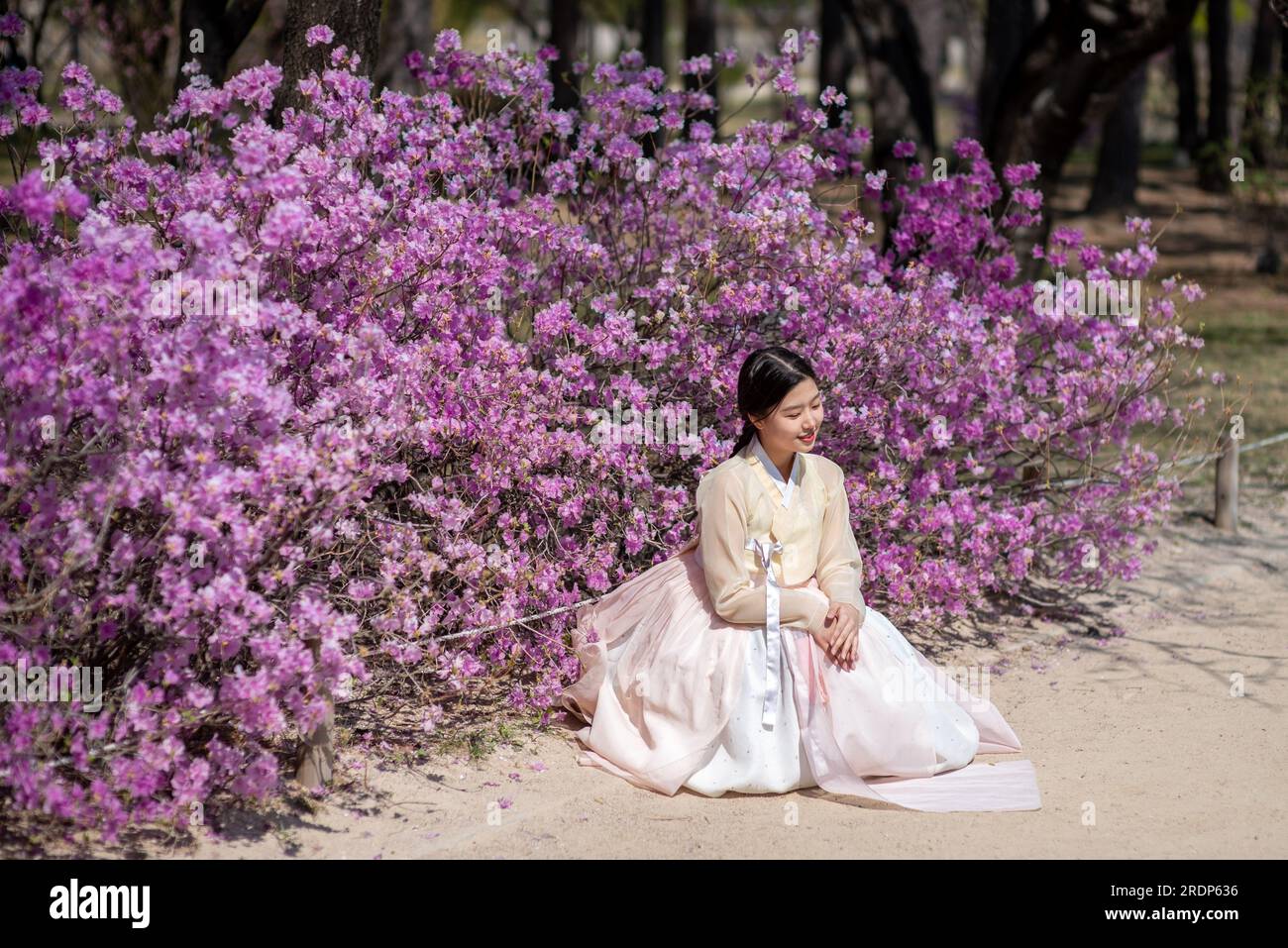 Pretty Korean girl wearing traditional Hanbok dress in Seoul South ...
