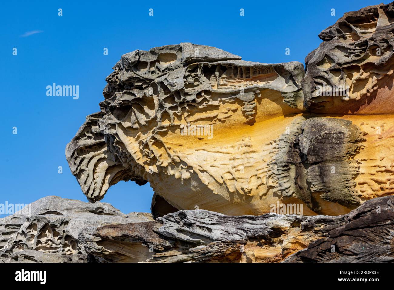 Weathered sandstone formation, Malabar Headland National Park, Sydney ...