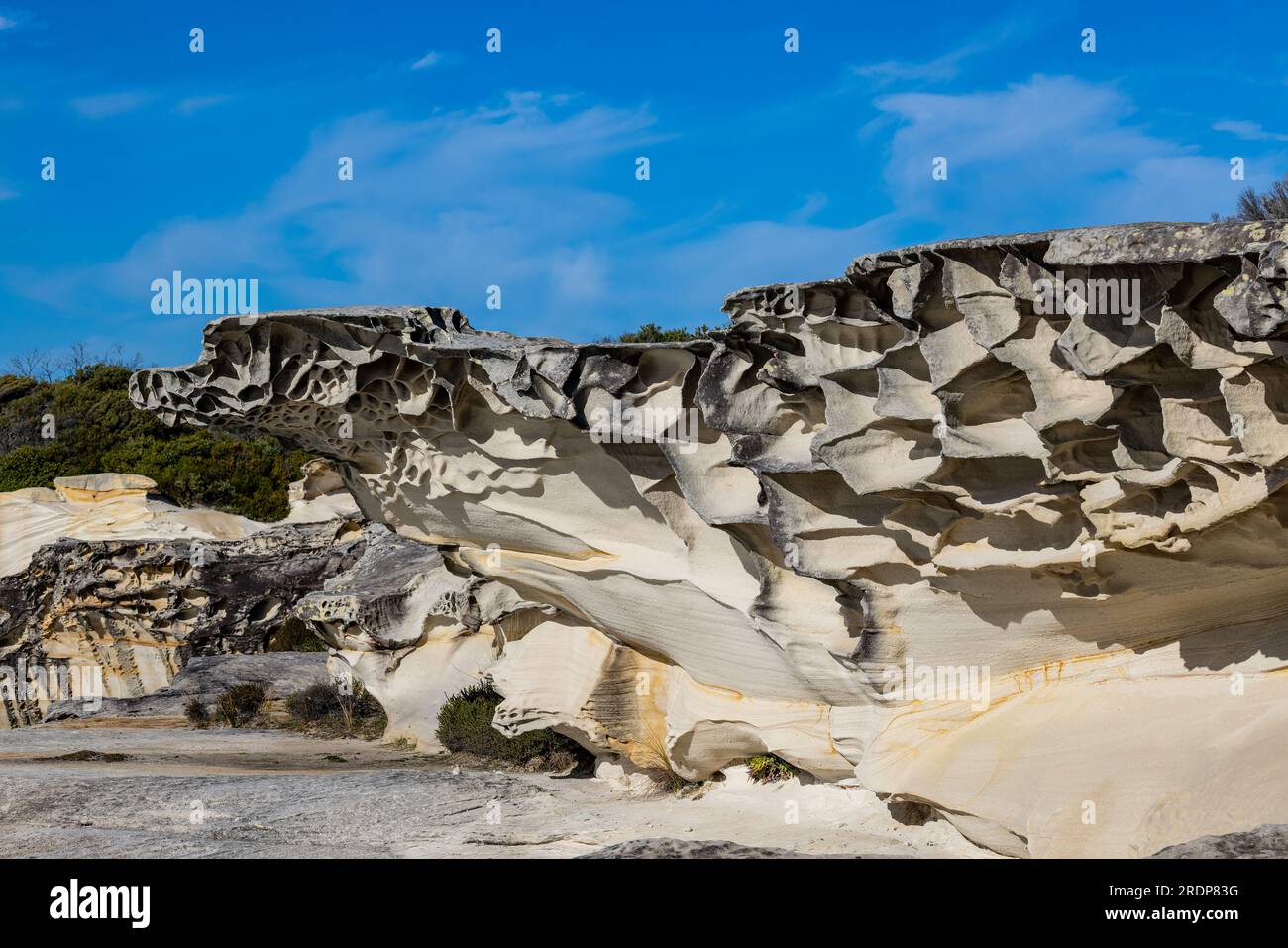 Weathered sandstone formation, Malabar Headland National Park, Sydney ...