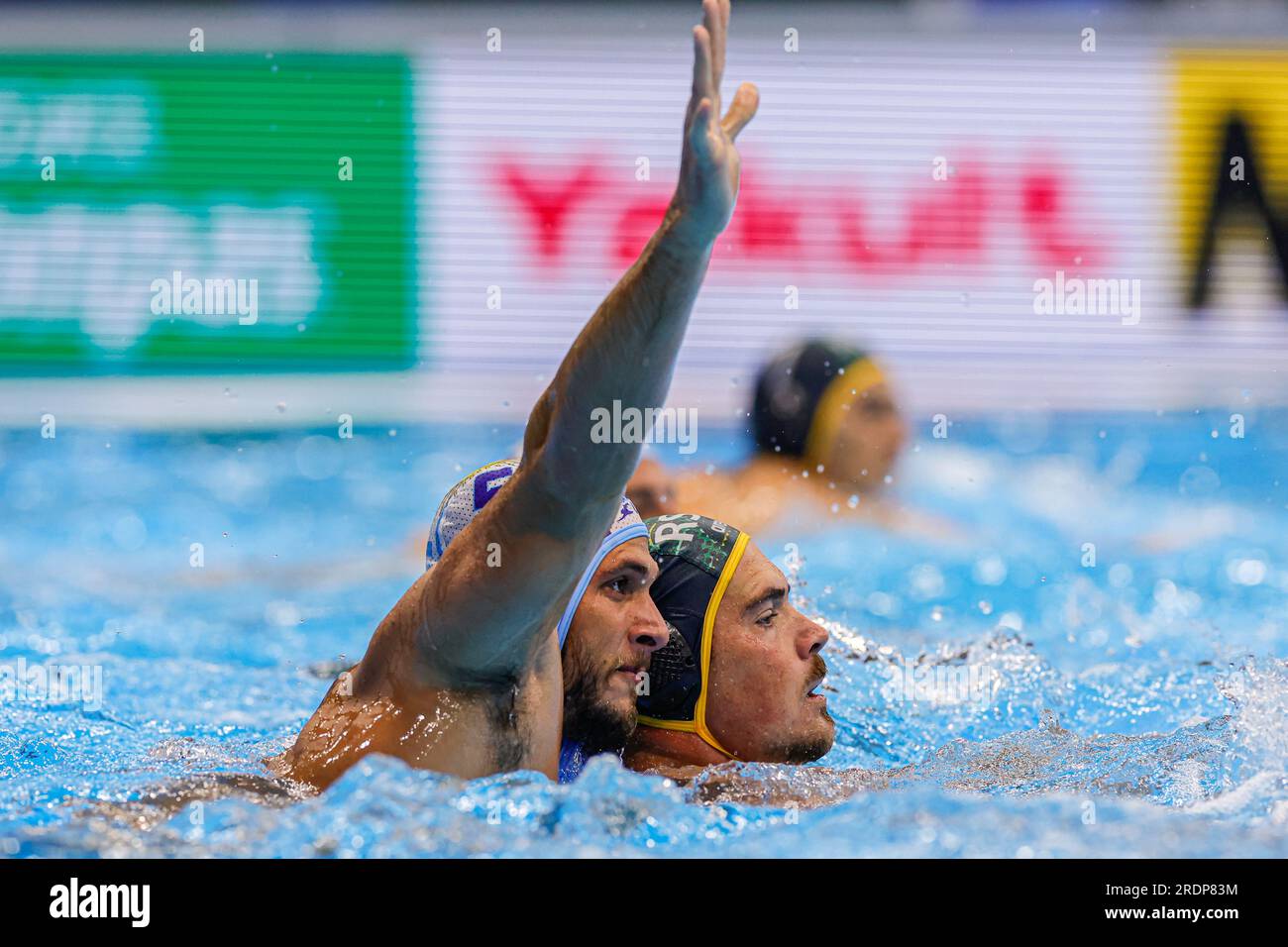 Nardus badenhorst hi-res stock photography and images - Alamy