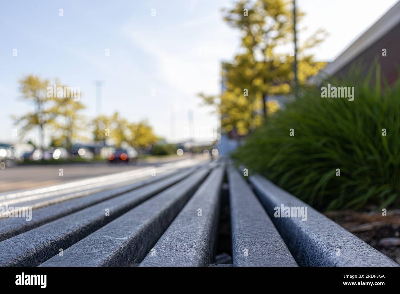Gray metal slat bench - low angle - blurred parking lot tree background ...