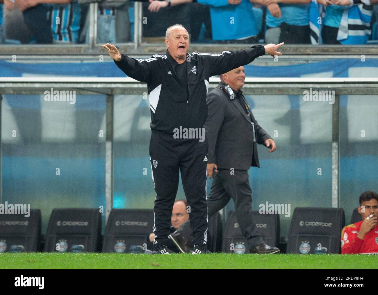 Scolari luis felipe hi-res stock photography and images - Alamy