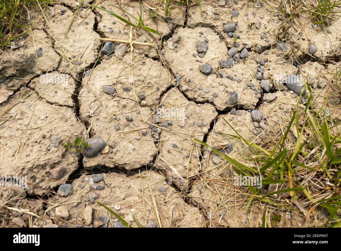 Pebbles rocks crack geology hi-res stock photography and images - Alamy