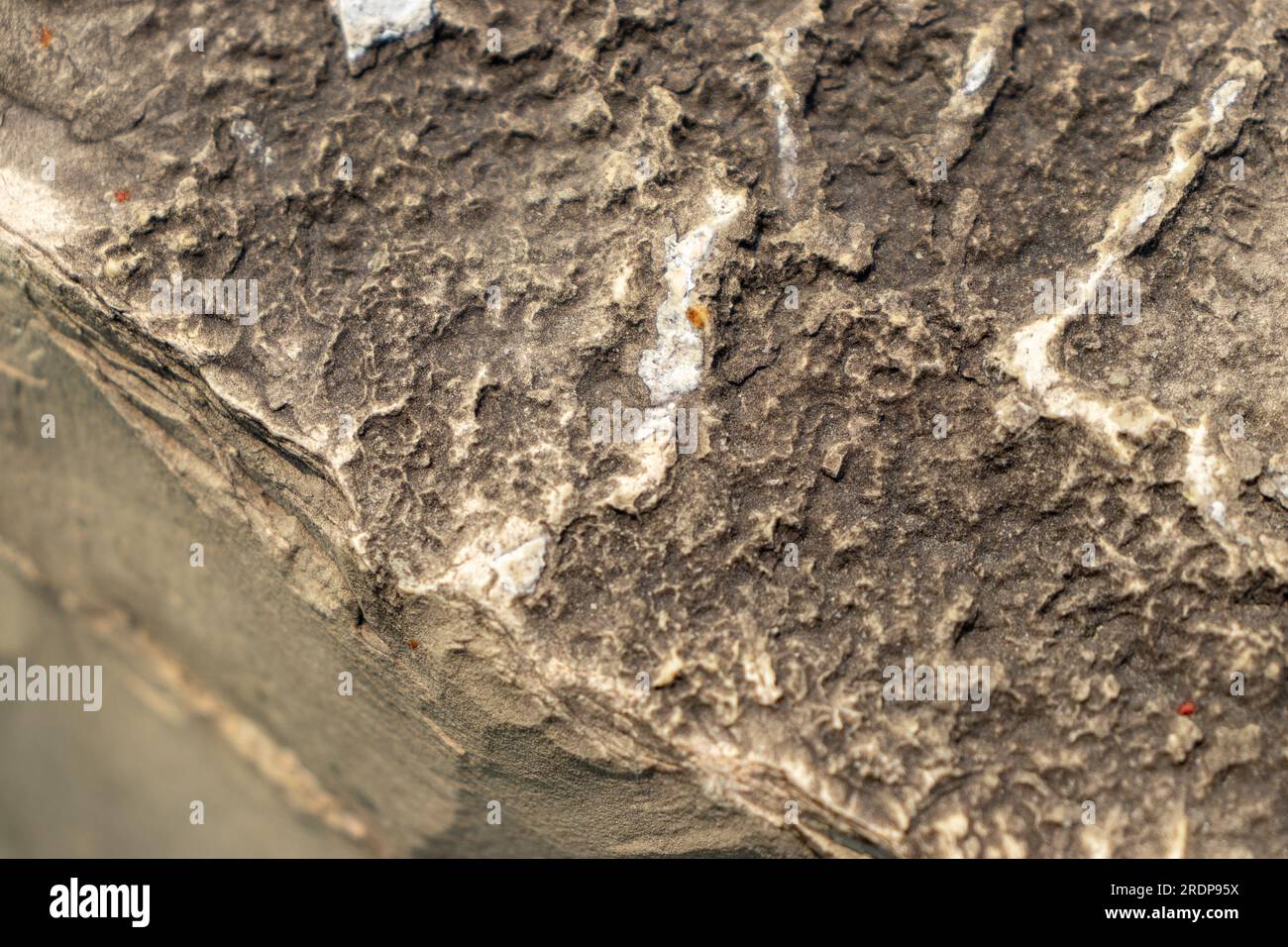 Igneous metamorphic rock formation hi-res stock photography and images ...