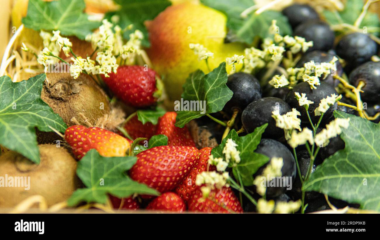 Selective focus of Composition of various exotic fruits isolated ...