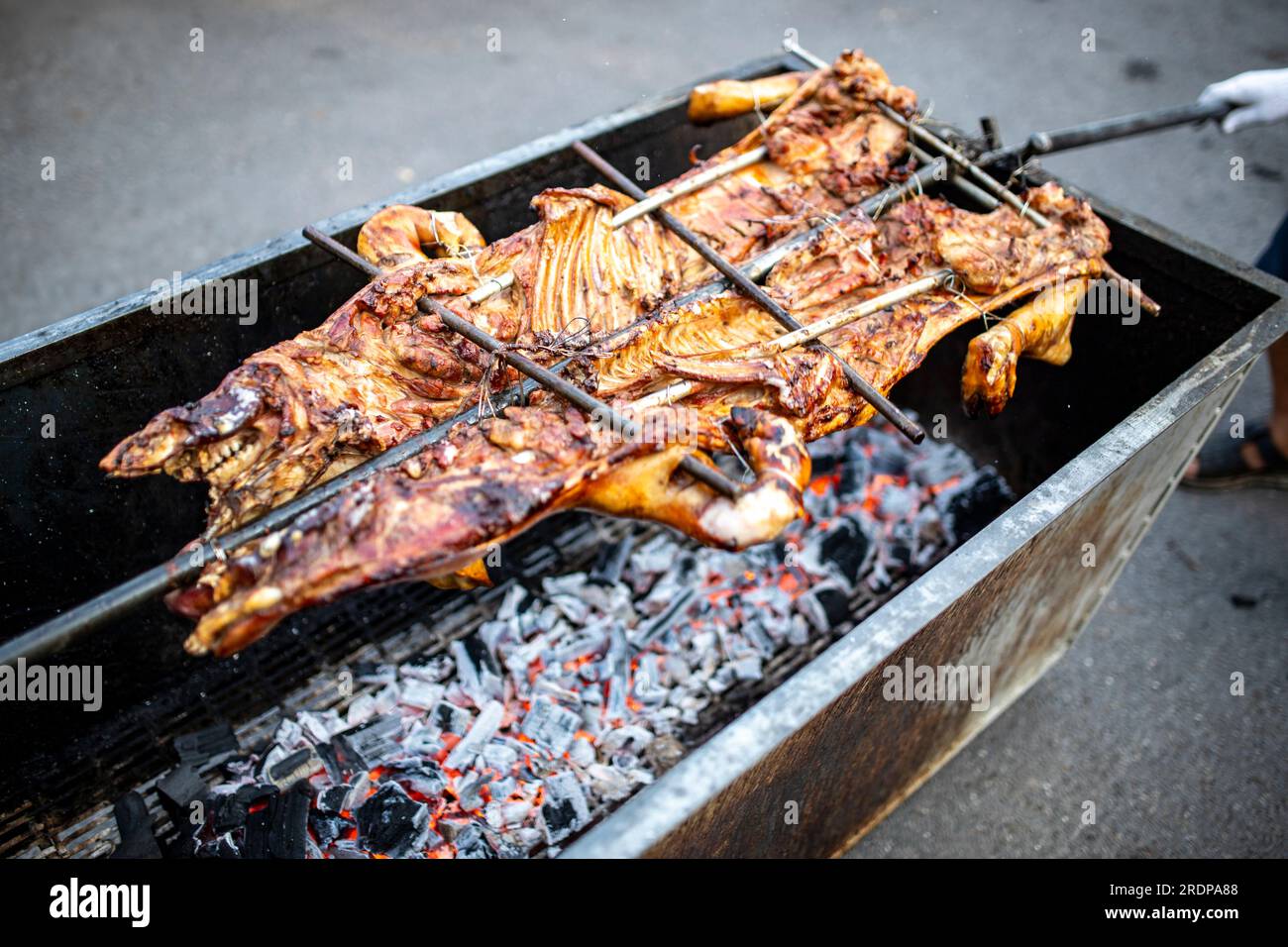 A whole pig was held by an iron wire attached to an iron rod. Grilled ...