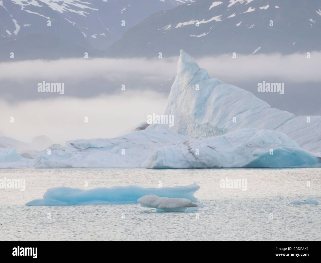 Large iceberg with chunks of ice in Alsek Lake in Alaska with misty ...