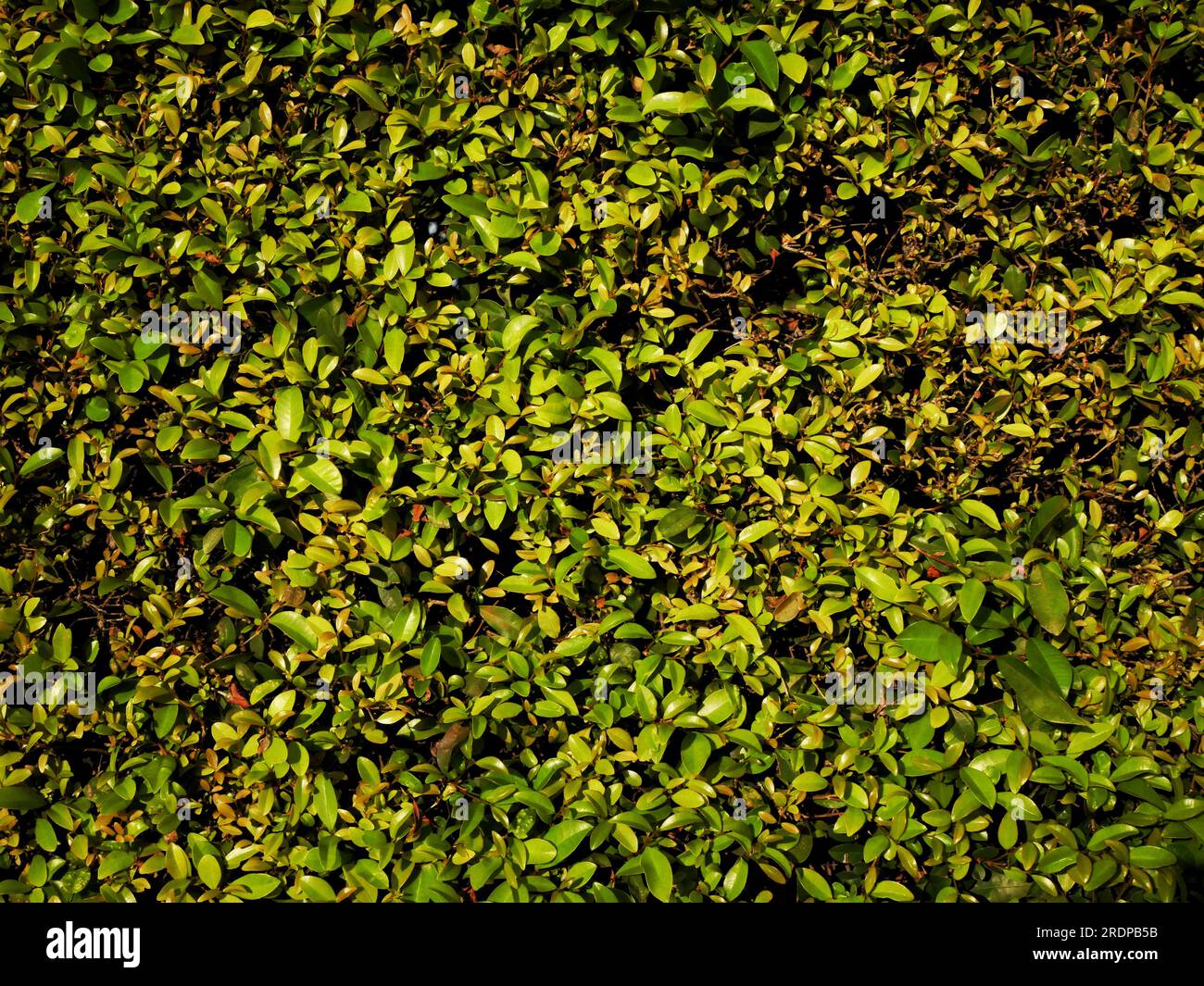 Capturedonlumix hi-res stock photography and images - Alamy