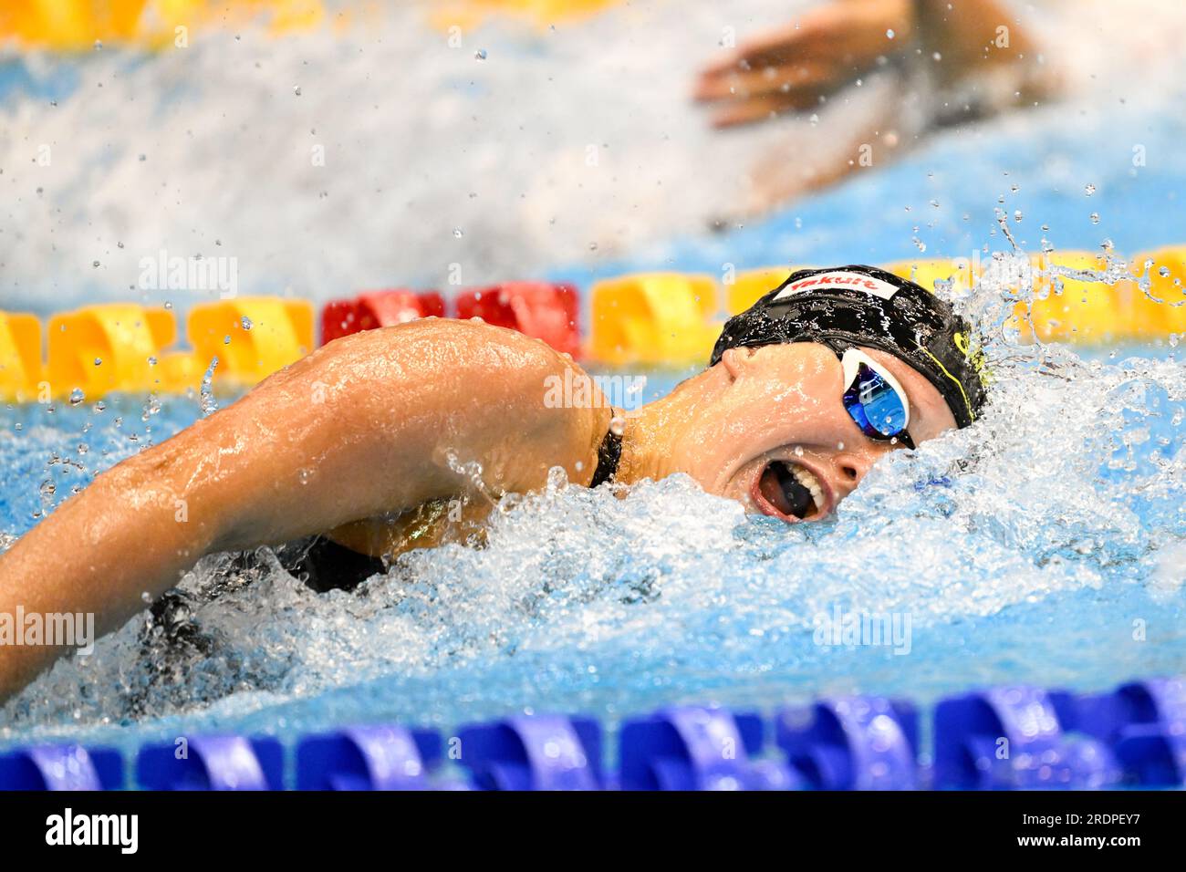 Kim busch hi-res stock photography and images - Alamy