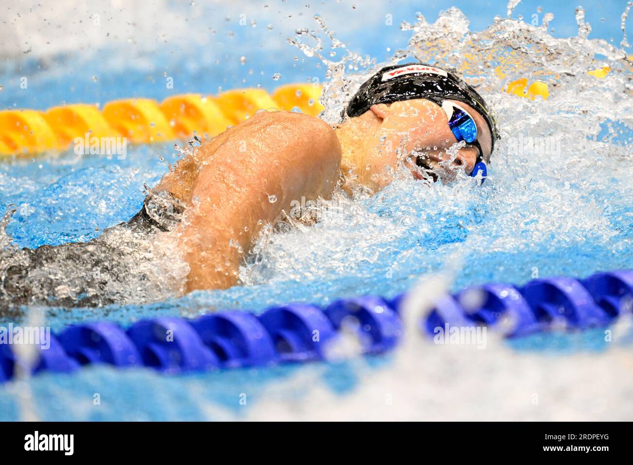 Kim busch hi-res stock photography and images - Alamy