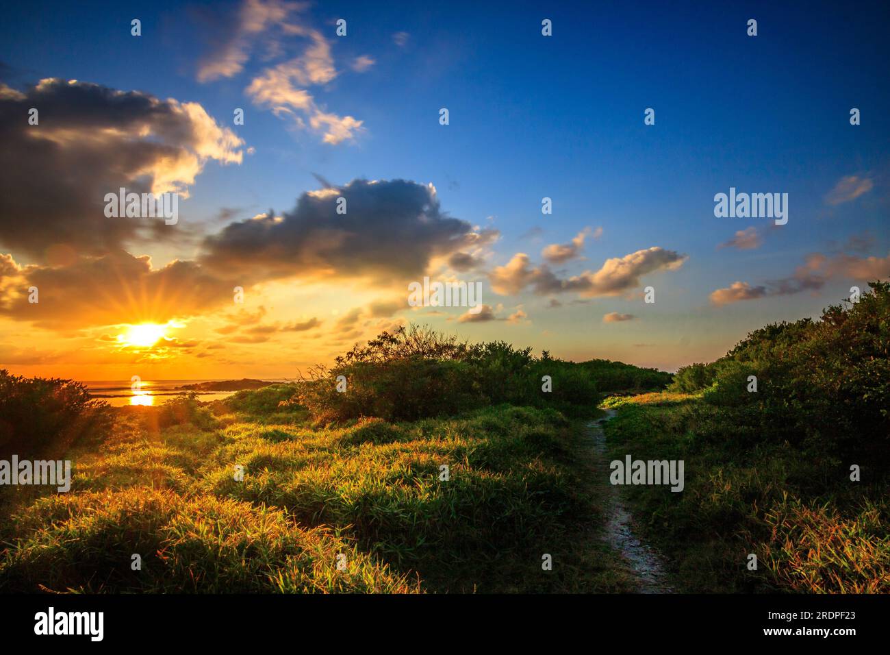 Majestic Mauritius Beachscape - Captivating sunrise over the sea ...