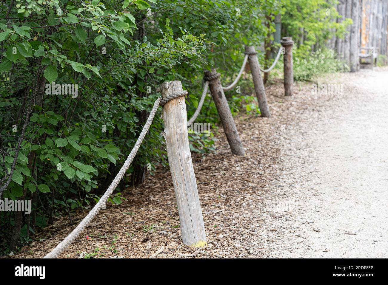 Fencepost with rope on a footpath in a forest Stock Photo - Alamy
