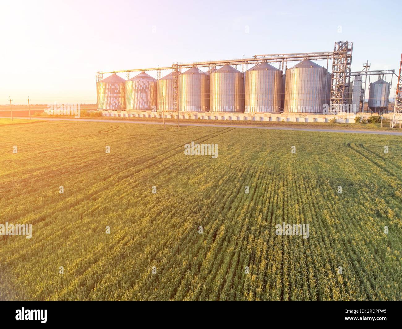 Grain silos on a green field background with warm sunset light. Grain ...